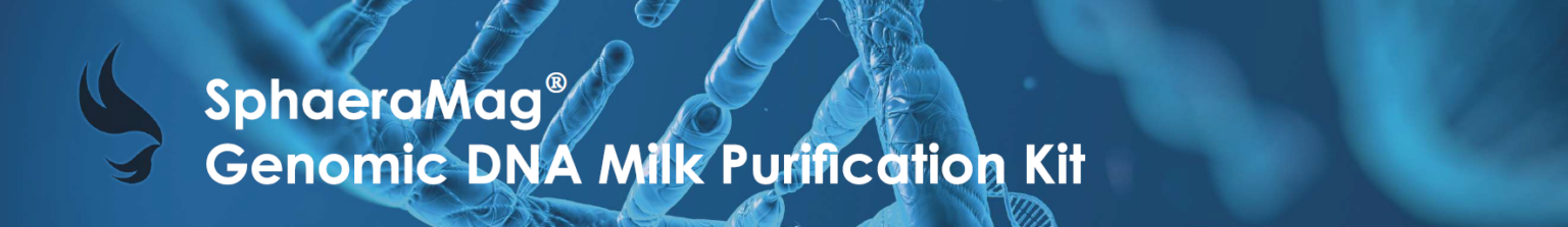 Sphaeramag Isolation Procomcure Biotech
